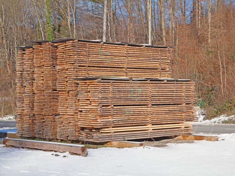 Fresh wooden studs stock photo. Image of build, lumber - 66312858