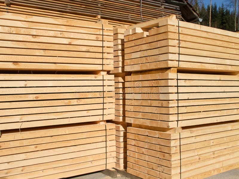 Fresh wooden studs stock image. Image of forestry, pile - 72156647