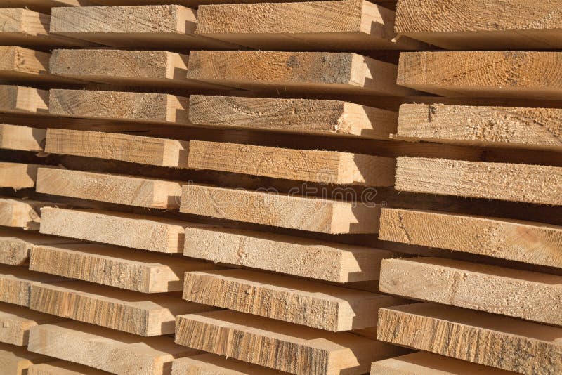 Fresh wooden studs stock photo. Image of site, pile, build - 94618216