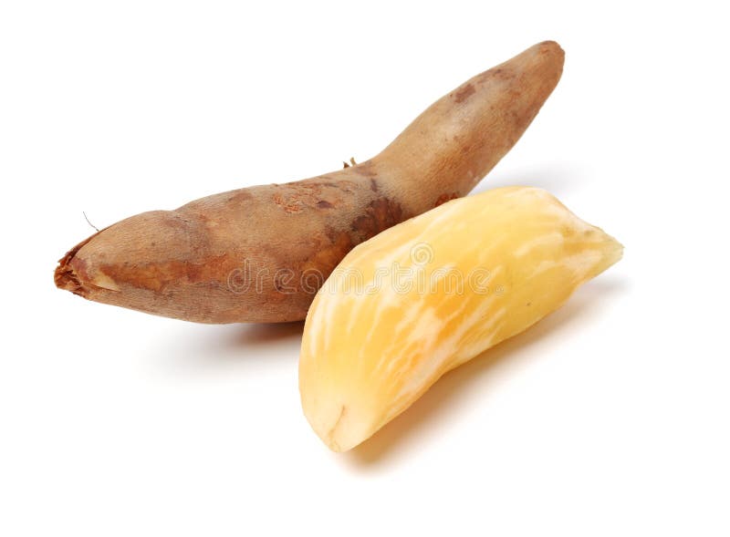 Fresh Yacon Peruvian Ground Apple Stock Photo - Image of food ...