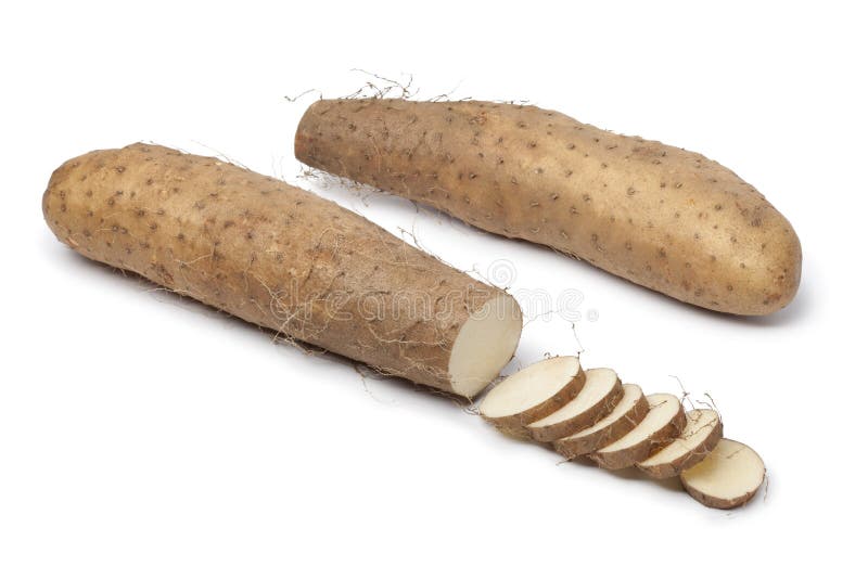 Yamaimo Roots and Slices or Chinese Yam Isolated Over White Background ...