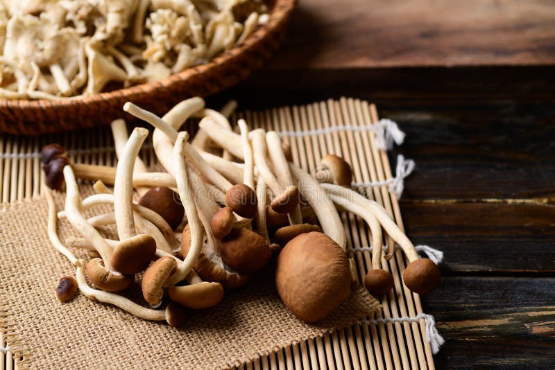 Fresh Yanagi Matsutake Mushroom Prepare for Cooking Stock Photo - Image ...