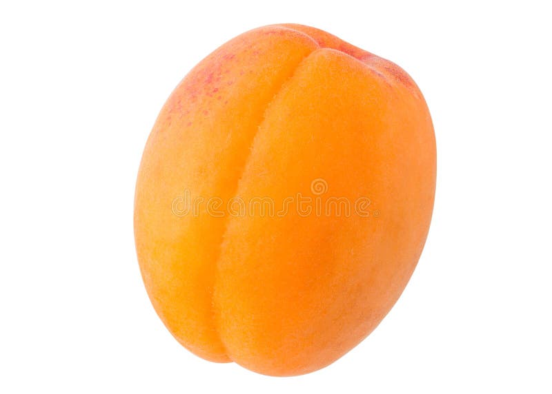 Fresh Yellow Apricot stock photo. Image of sliced, fruit - 72917868