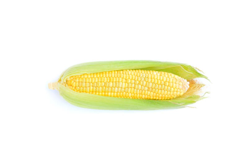 Fresh Yellow Corn Cob on White Background Stock Image - Image of meal ...