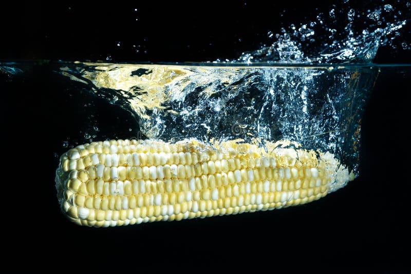 Fresh Yellow Corn Drop into Water Stock Photo - Image of isolated, life ...