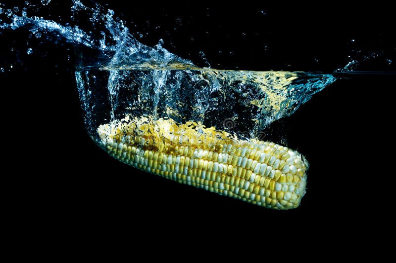 Fresh Yellow Corn Drop into Water Stock Photo - Image of crop, healthy ...