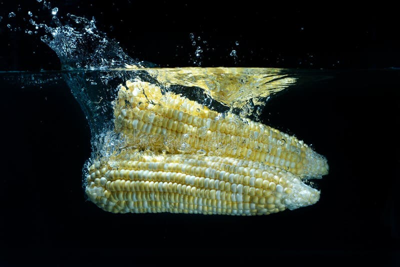 Fresh Yellow Corn Drop into Water Stock Photo - Image of golden, path ...