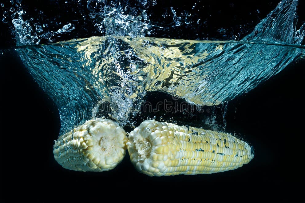 Fresh Yellow Corn Drop into Water Stock Image - Image of cook, crop ...