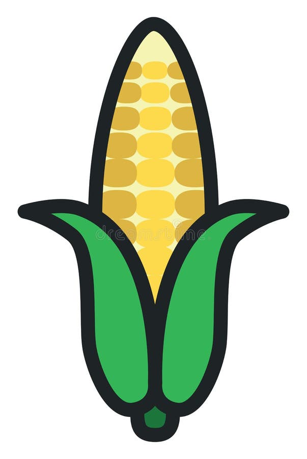 Fresh yellow corn, icon stock vector. Illustration of icon - 260377314