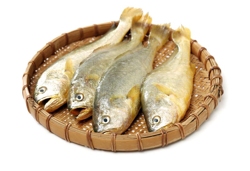 Yellow Croaker Fish stock photo. Image of dinner, yellow - 111889890