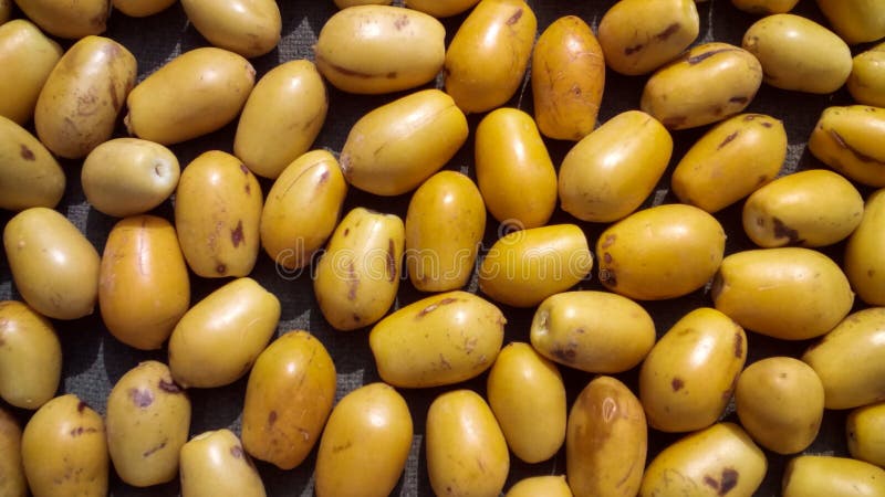 Fresh yellow date stock photo. Image of sweet, orange - 34322982