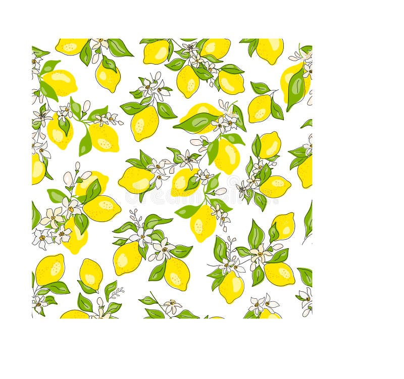 Fresh Yellow Fruits Of Lemon, Lime, With Green Leaves And Flowers ... Fresh Yellow Fruits Of Lemon, Lime, With Green Leaves And Flowers ...