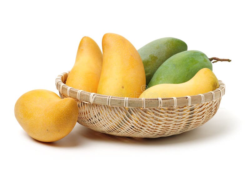 Yellow and green Mango stock image. Image of white, clean - 119612153