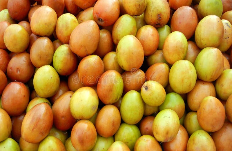 Colors Jujube stock image. Image of sweet, wallpaper - 95260813