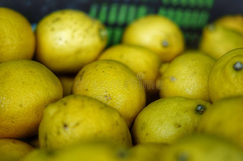 Fresh yellow lemon stock photo. Image of yellow, lemon - 149808762