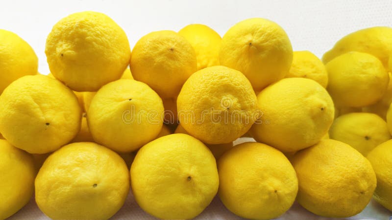 Fresh Yellow Lemonade stock image. Image of citrus, plant - 221126321