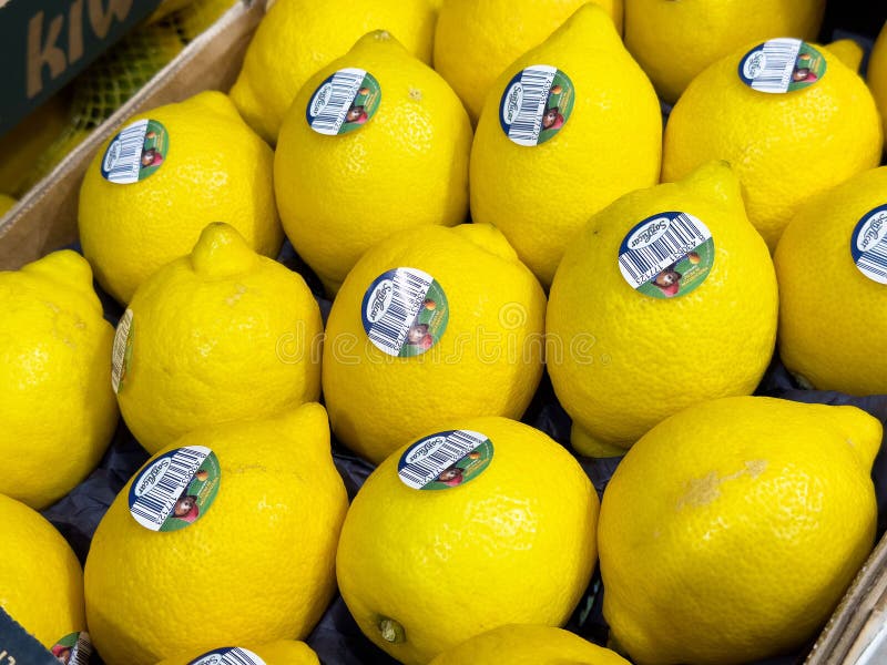 Fresh Yellow Lemons with Labels in Market Display Editorial Stock Image ...