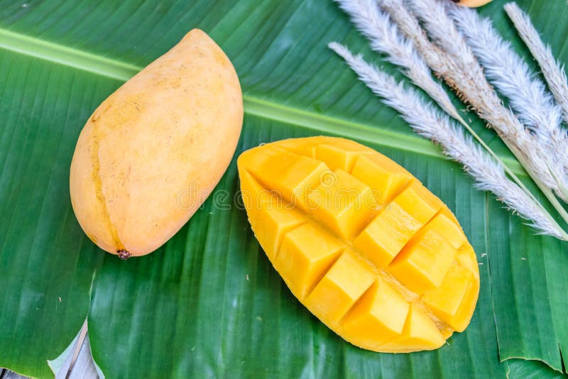 Fresh yellow mango stock image. Image of closeup, drink - 92171907