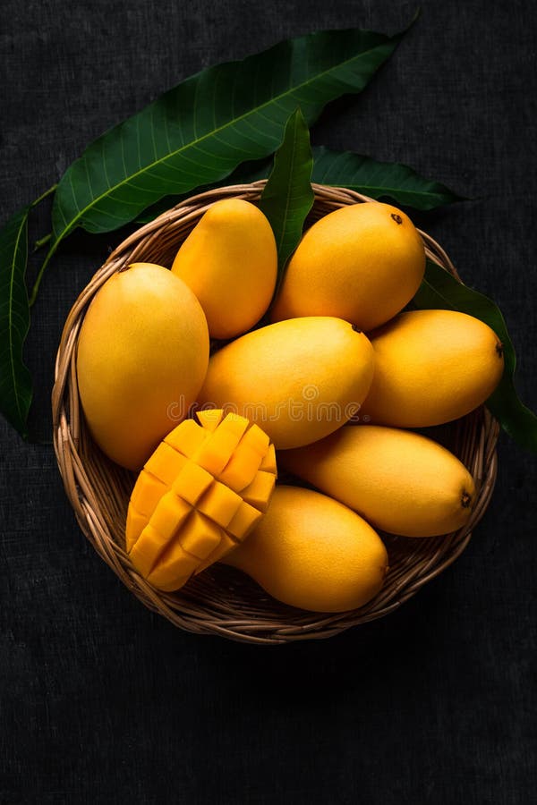 122 Texture Mango Tree Skin Photos - Free & Royalty-Free Stock Photos ...