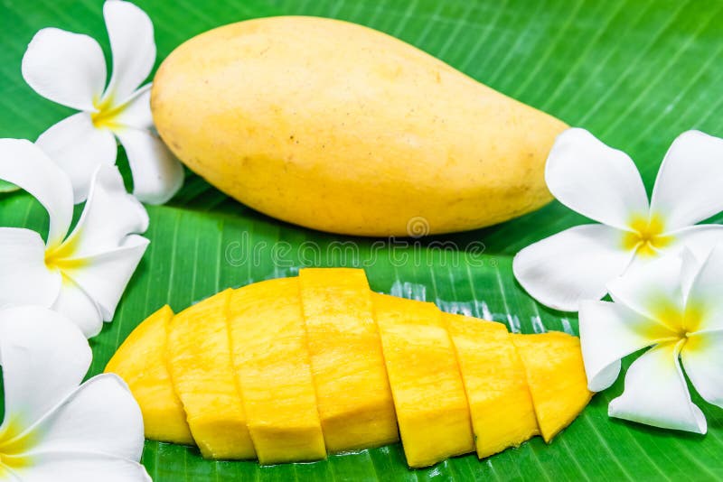Fresh yellow mango stock photo. Image of fresh, bright - 91375810