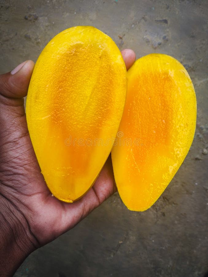 Fresh Yellow Mango with Hand Stock Image - Image of fruit, hand: 250778005