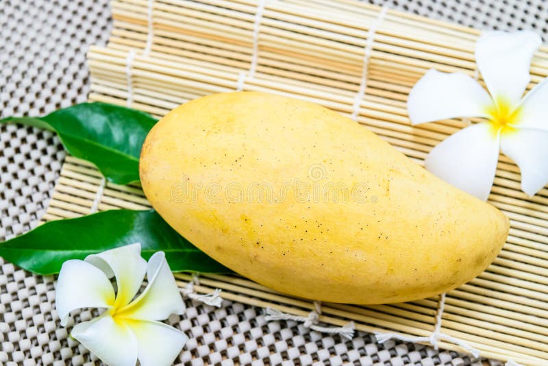Fresh yellow mango stock photo. Image of flower, plant - 91375878
