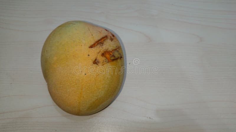 Fresh Yellow Mango with Tree Injuries: Undiminished Charisma Stock ...