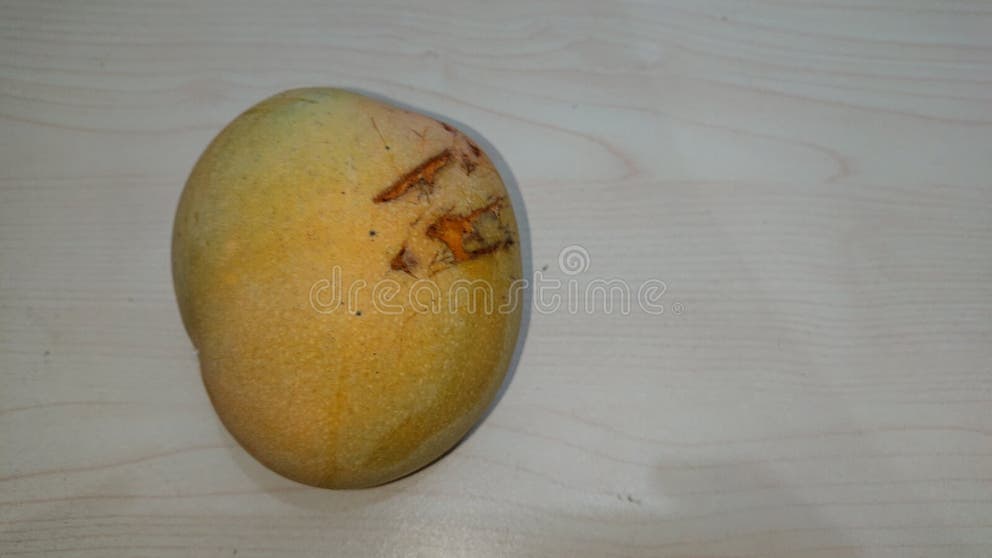 Fresh Yellow Mango with Tree Injuries: Undiminished Charisma Stock ...