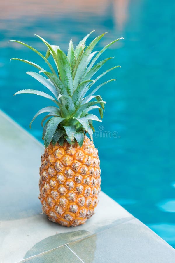 Pineapple Tropic Fruit Summer Refreshment Pool Stock Photo - Image of ...