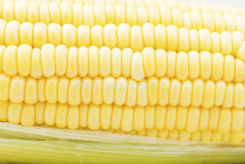 Fresh yellow sweet corn stock photo. Image of grain, texture - 89654328