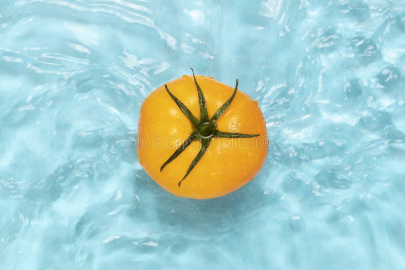 Fresh yellow tomato stock image. Image of delicious - 249290329