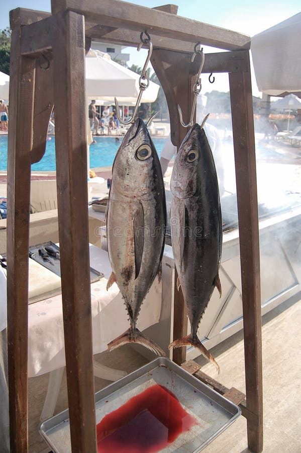 Fresh Yellowfin Tuna, Butchering Fish on the Restaurant Stock Photo ...