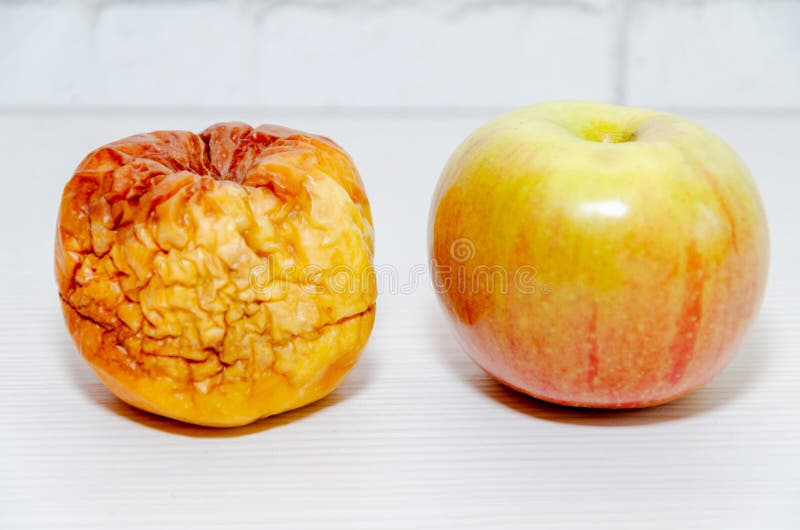 Fresh Young Apple Next To a Wrinkled Old Rotten One. Aging Process ...