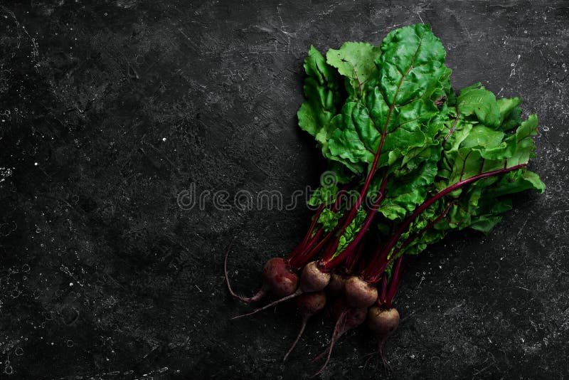 Fresh Young Beets with Green Leaves. Stock Image - Image of agriculture ...