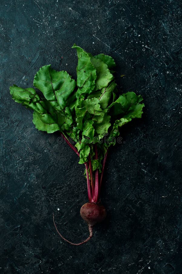 Fresh Young Beets with Green Leaves. on a Black Background Stock Photo ...
