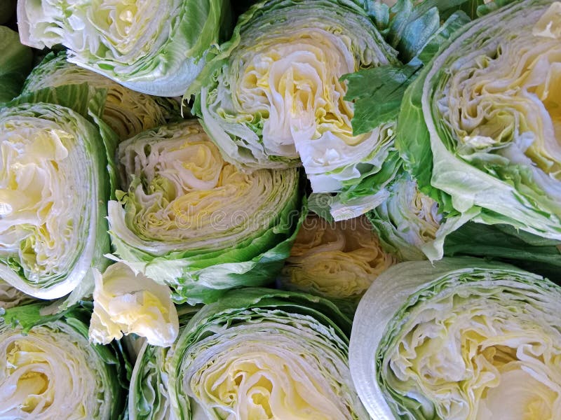Fresh Young Cabbage in a Section. Stock Photo - Image of fresh ...