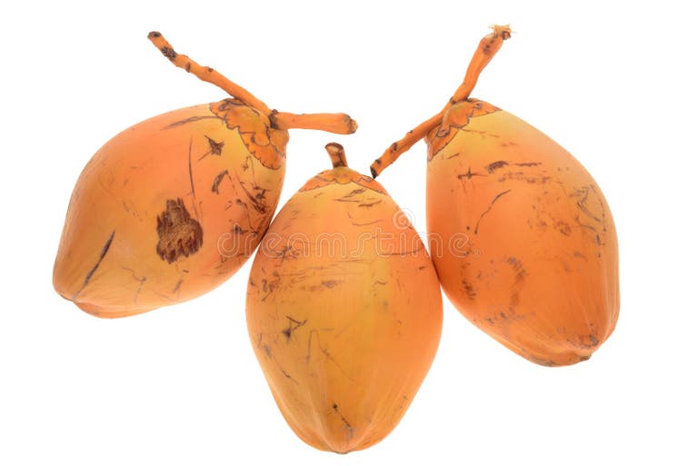 Fresh Young Coconuts stock image. Image of kernel, cooling - 31986725