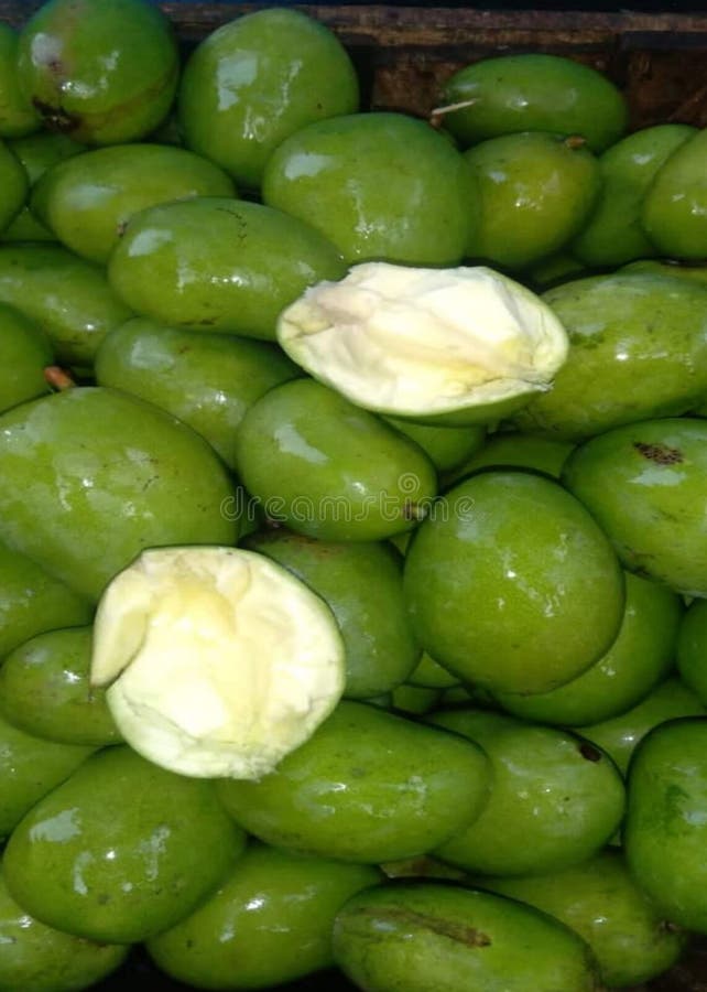 Foodyoung Stock Photos - Free & Royalty-Free Stock Photos from Dreamstime