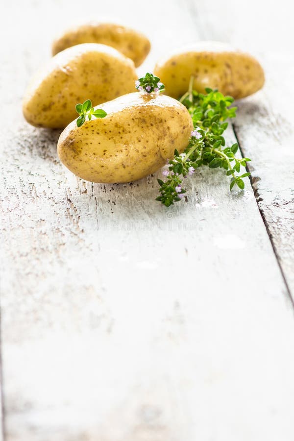 Fresh young potatoes stock image. Image of harvest, bunch - 55045787