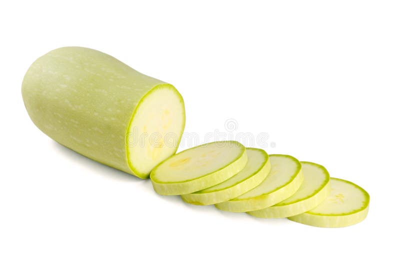 Fresh zucchini stock image. Image of single, green, marrow - 25261355
