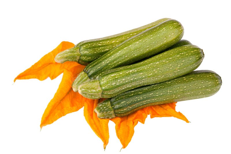 Fresh Zucchini or Courgettes with Flower Stock Image - Image of petals ...