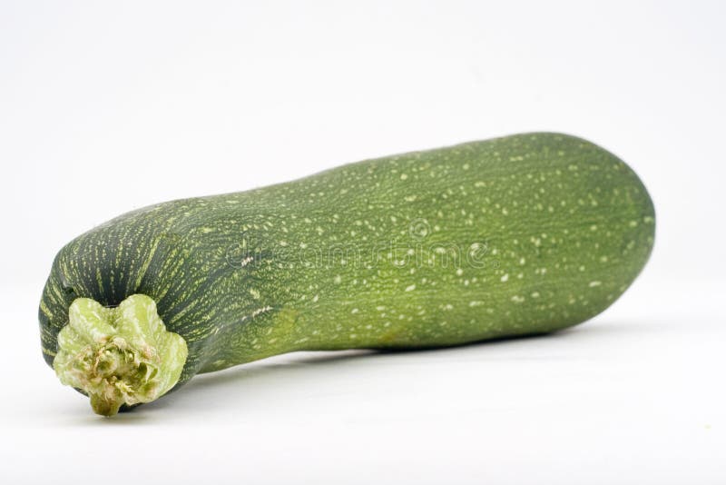 Fresh zucchini isolated stock image. Image of vitamin - 6288961