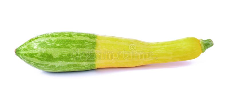 Fresh zucchini stock image. Image of garden, farm, organic - 174945999