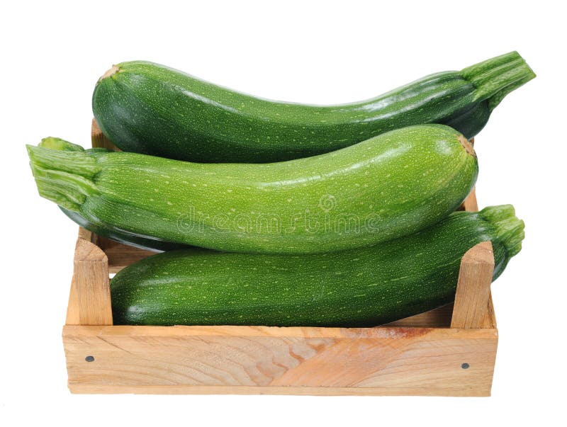Fresh zucchini stock photo. Image of nature, vegetarian - 33423762