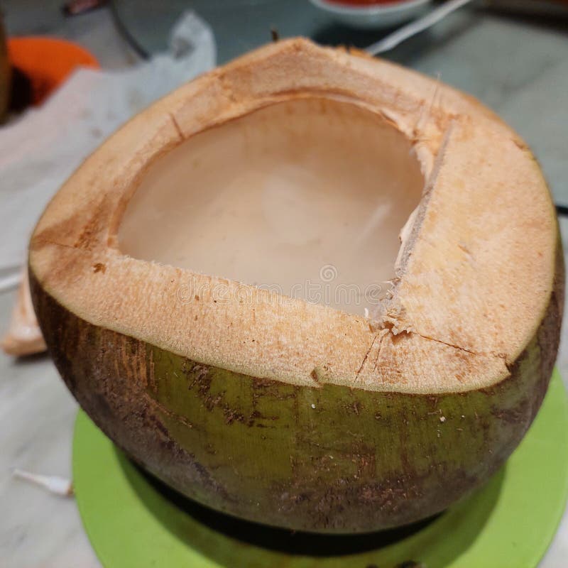 FreshCoconutWater stock photo. Image of meal, food, baking - 263809524