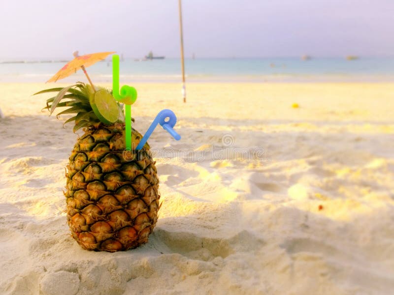 Freshing stock photo. Image of pineapple, holifay, vacation - 58256626