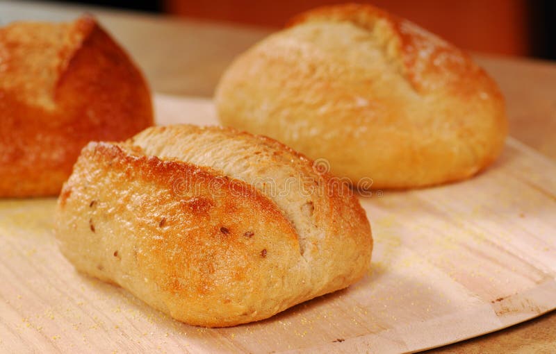 Freshly baked bread stock photo. Image of healthy, kaiser - 13163984