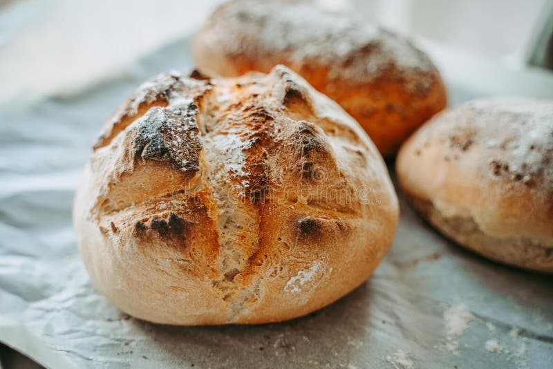 Crusty Freshly Baked Bread in the Bakery Stock Photo - Image of round ...
