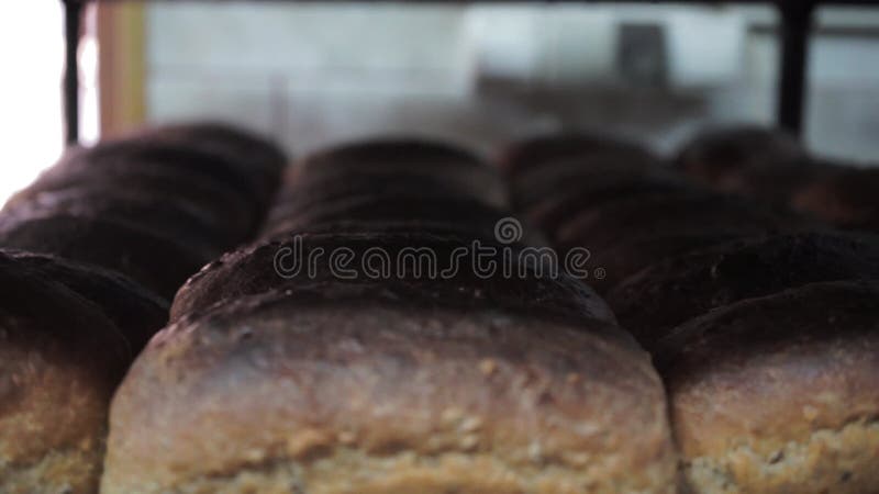 Fresh Warm Fragrant and Crispy Bread Lies on the Shelf in the Bakery ...