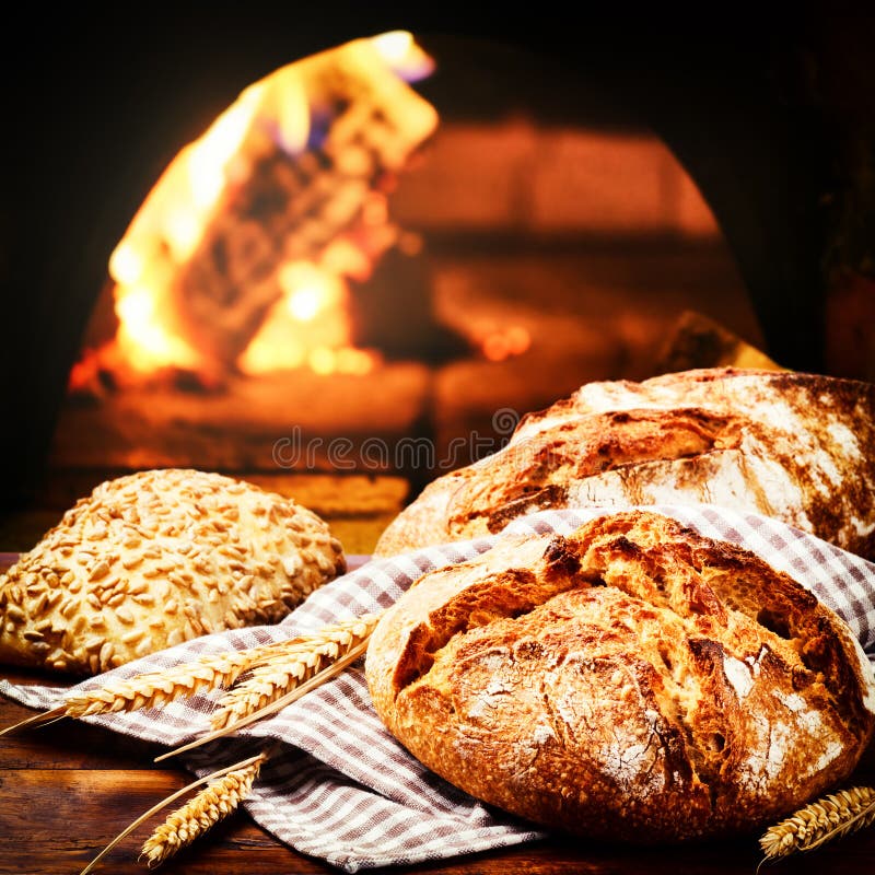 Cows in pasture stock photo. Image of countryside, dairy - 12612632